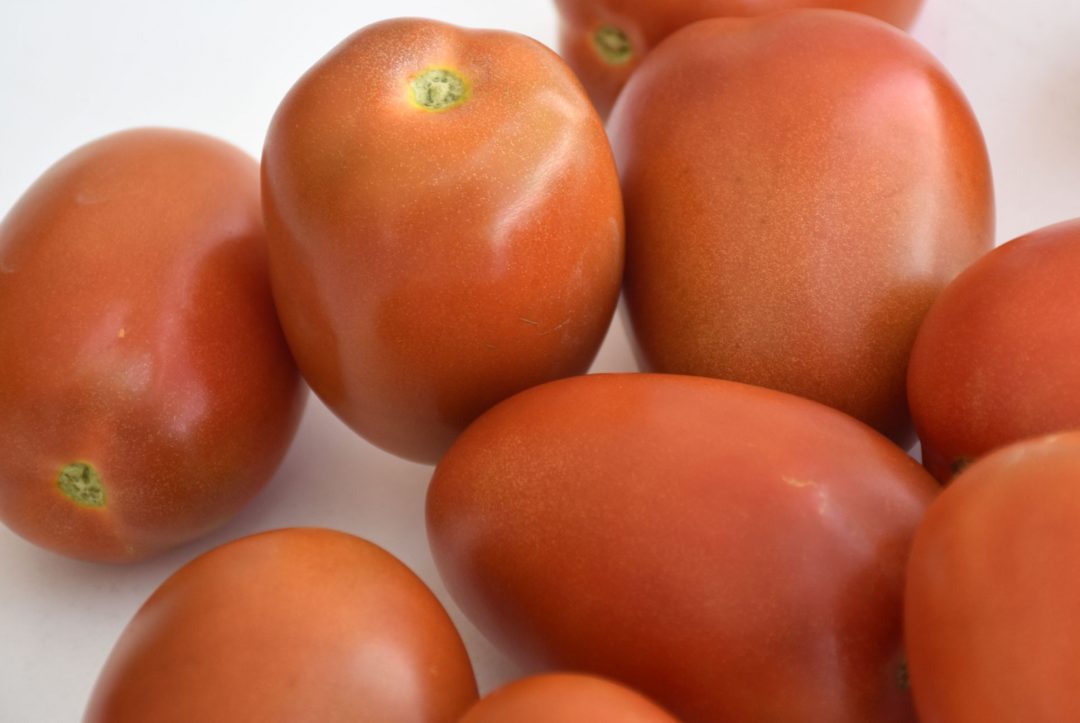 Tomate Pera | HORTOVENTAS
