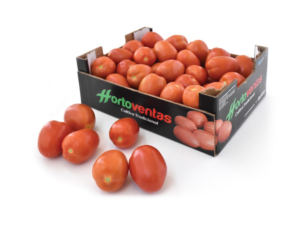 Tomate Pera | HORTOVENTAS