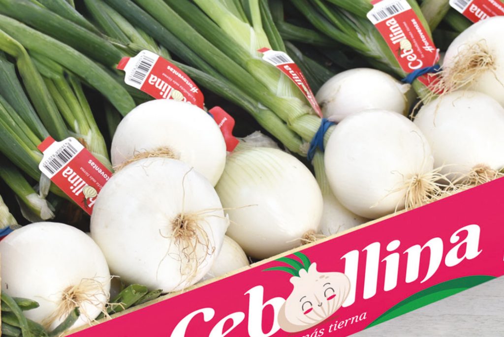 Marca CEBOLLINA | HORTOVENTAS